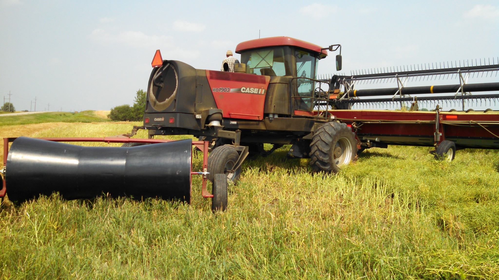 Straight-Combining vs. Swathing Canola | U.S. Canola Association